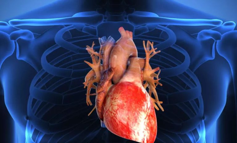 Insuffisance cardiaque : quand le cœur se fatigue - FR.ImArabic
