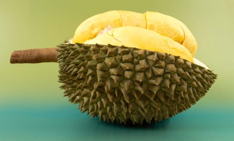 "Durian, le Roi des Fruits" - Voici les bienfaits du fruit au "mauvais ...