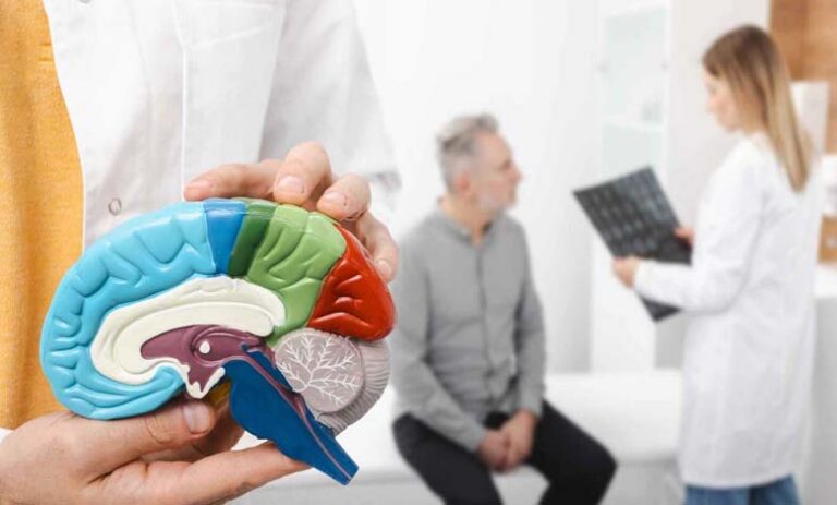 À quel âge le cerveau humain commence-t-il à se détériorer ? - FR.ImArabic